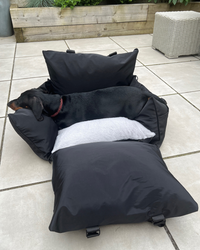 Hound Lounge | Premium Pet Travel Products for Safety & Comfort